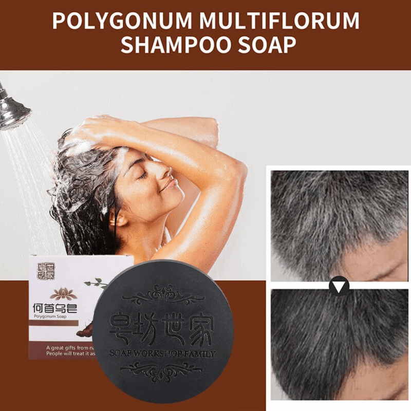 Polygonum Multiflorum Plant Extract Nourishing Hair Roots Cleaning Oil ...